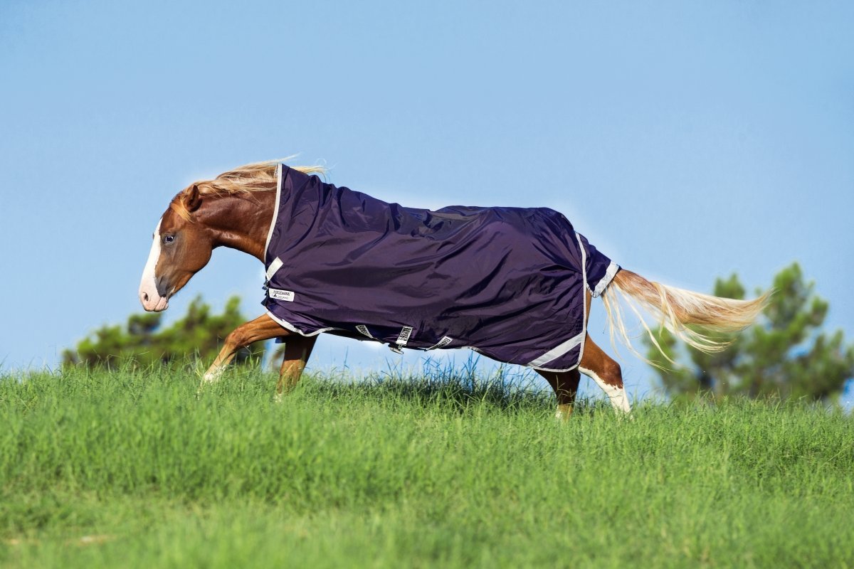 Derka padokowa 0g 1000D RAMBO Wug Turnout - Horseware - purple/silver