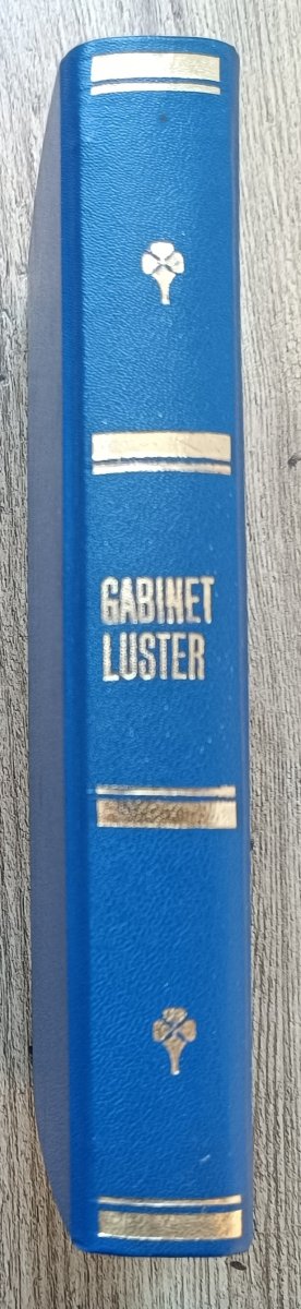 Gabinet luster. Krótka proza amerykańska 1961 1977 Barth, Barthelme ...