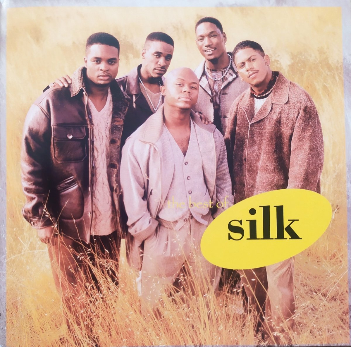 Silk The Best of Silk CD