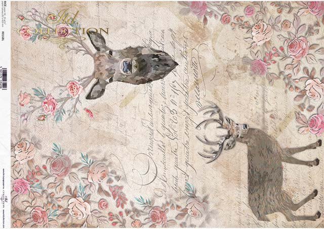 Rice paper A3 R168L - Animals, heads, deer antlers